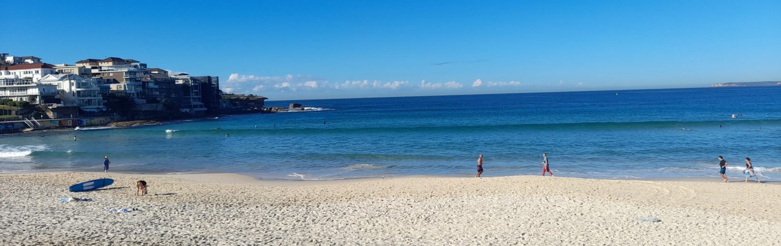 Ocean Swimming | A Beginner's Guide
